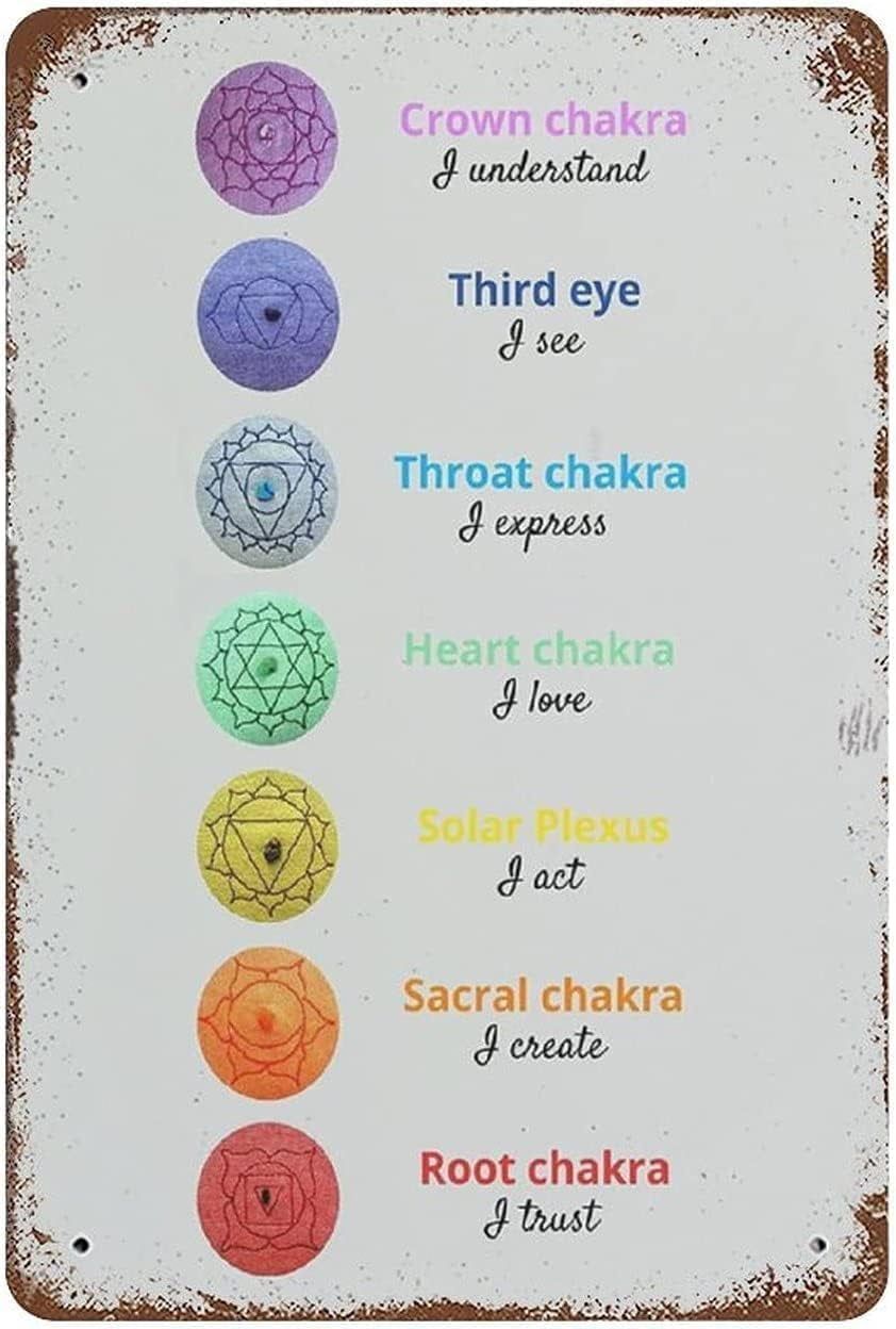5.5x8 Inch Metal Tin Sign Funny Reiki Principles With Chakra Yoga Wall ...
