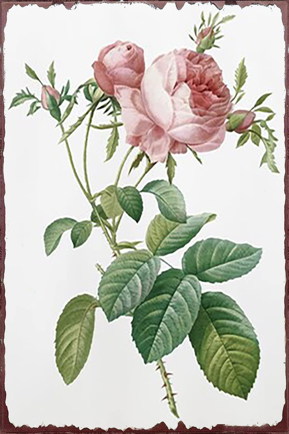 5.5x8 Inch Roses Retro Sign Pink Rose Flower With Green Leaves Wall ...