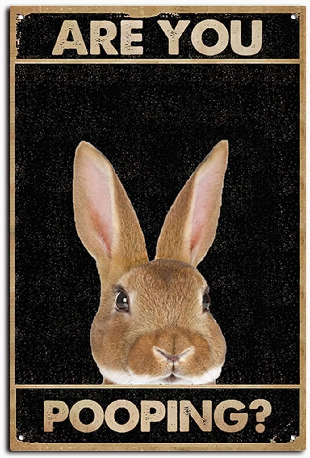 5.5x8 Inch Tin Metal Signs Vintage Funny Bunny Easter Eggs are You ...