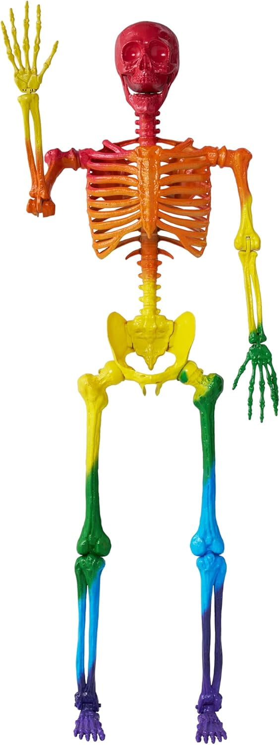 5.6 FT Halloween Posable Life Size Skeleton, Full Body Realistic Bones ...