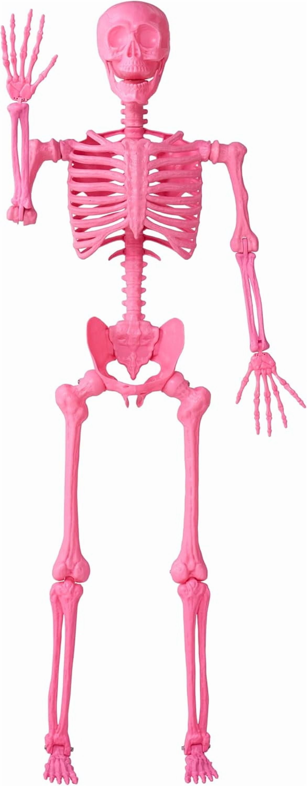 5.6 FT Halloween Posable Skeleton Life Size, Giant Outdoor Yard ...