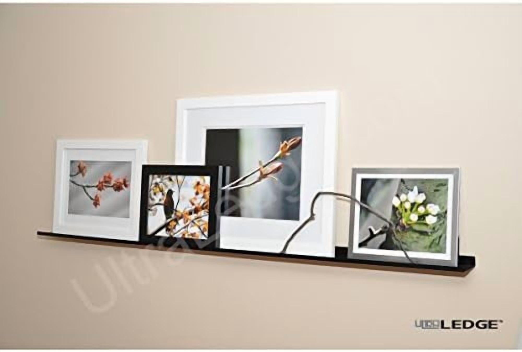 5'/60" Art Display/Picture Ledge/Floating Shelf, Metal, Modern (2" deep ...