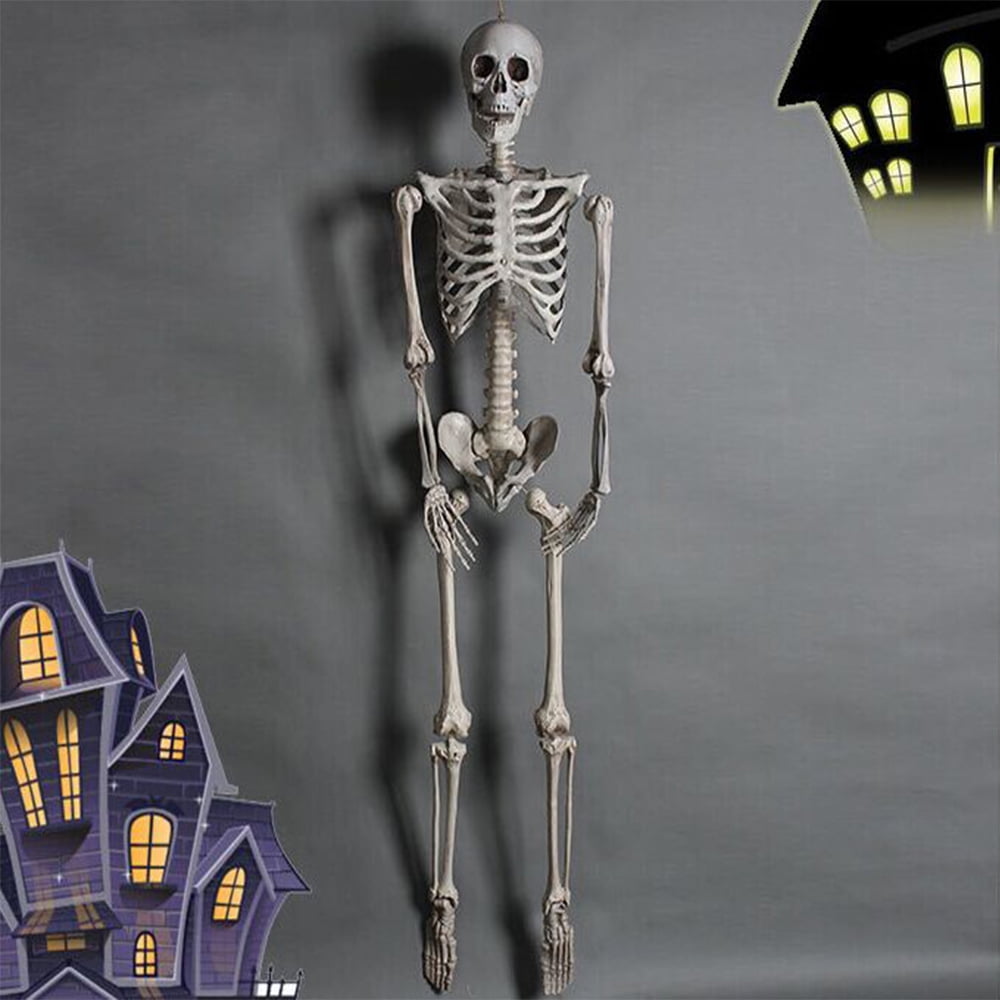 5.6FT Poseable Skeleton Halloween Prop, Full Body Life-size Outdoor ...