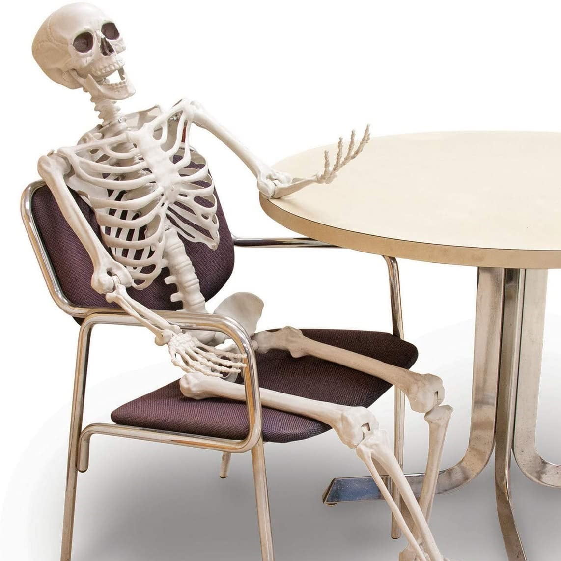 5.6FT Poseable Halloween Skeleton Full Body Life-Size Skeleton Prop ...