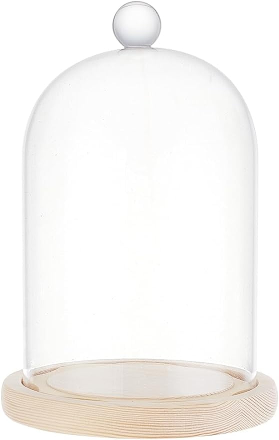 5.6x8.5 Glass Display Dome Inch Cloche Dome with Base Clear Dustproof ...