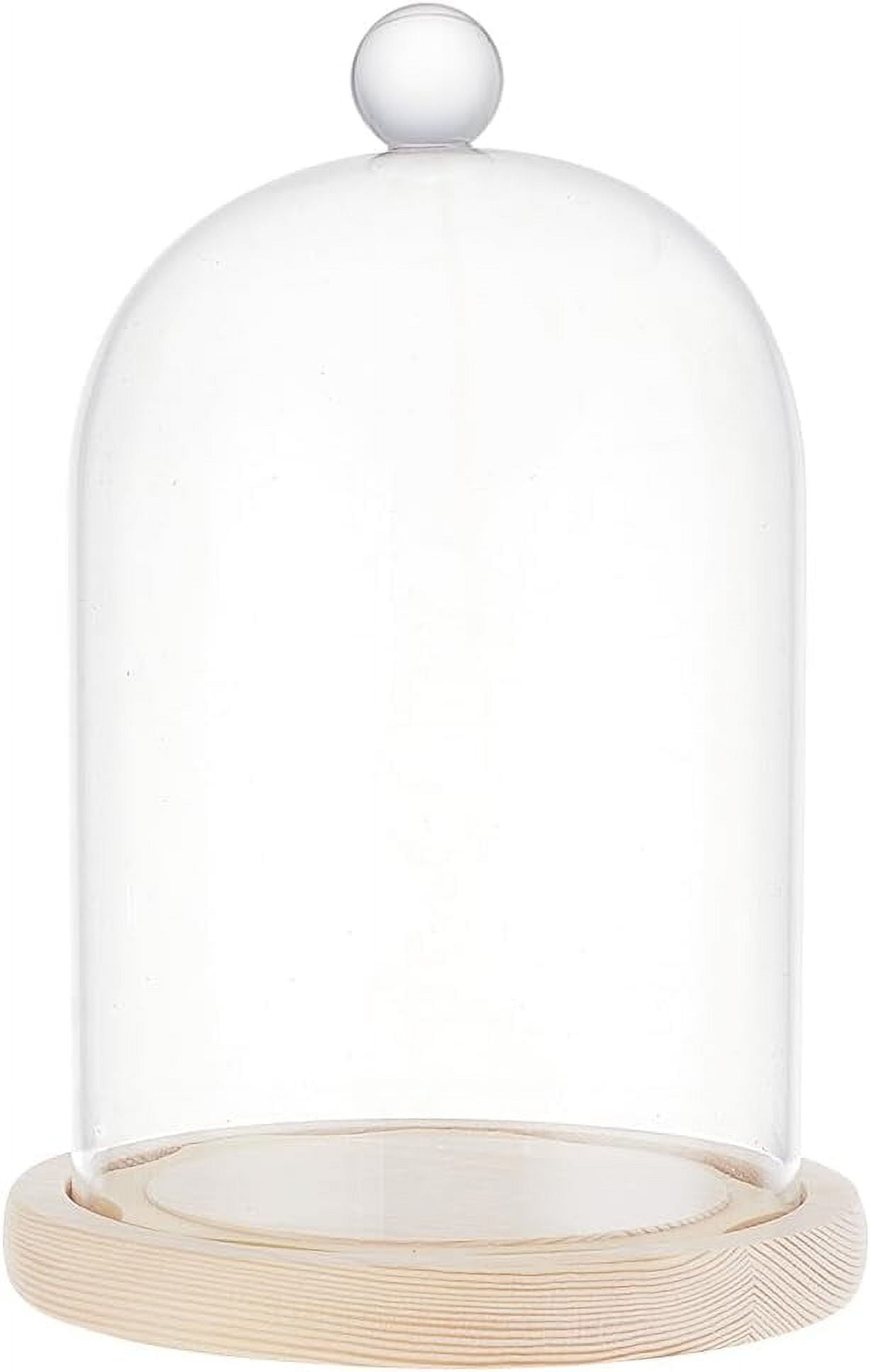 5.6x8.5 Glass Display Dome Inch Cloche Dome with Base Clear Dustproof ...