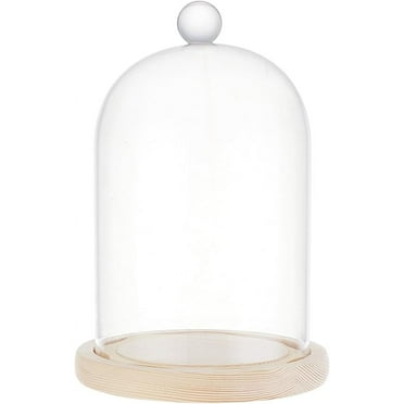 Large Acrylic Plastic Dome Display Case with Clear Base, 7-1/2-inch ...