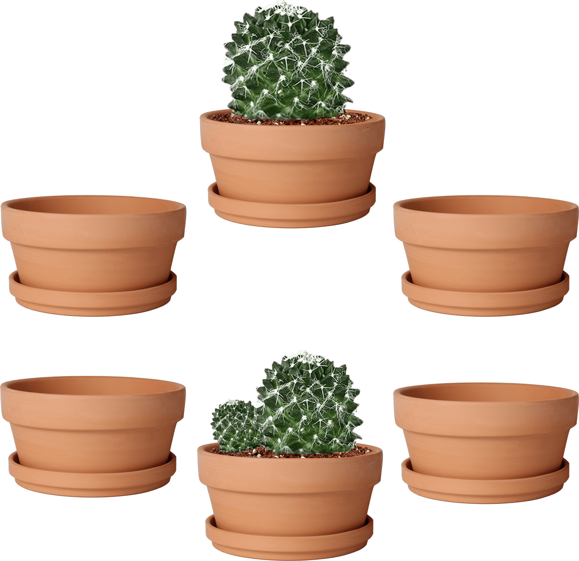 5.7 Inch Terracotta Shallow Succulent Pot - 6 Pack Terra Cotta Clay ...