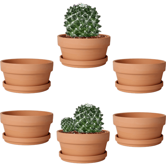 Terra Cotta Clay Pots