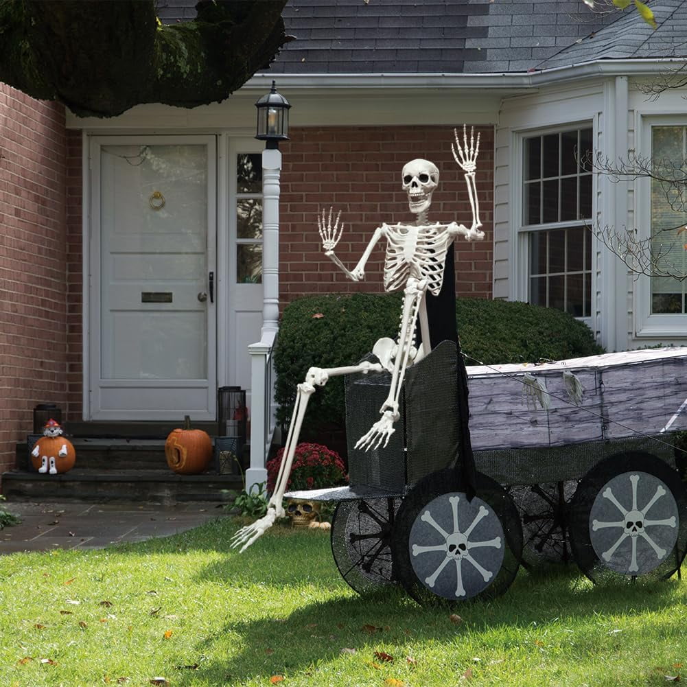5.9FT Poseable Life Size Skeleton, Plastic Full Size Human Skeleton ...