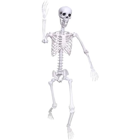 5.9Ft Halloween Skeleton Posable Skeleton Life Size Skeleton Plastic ...