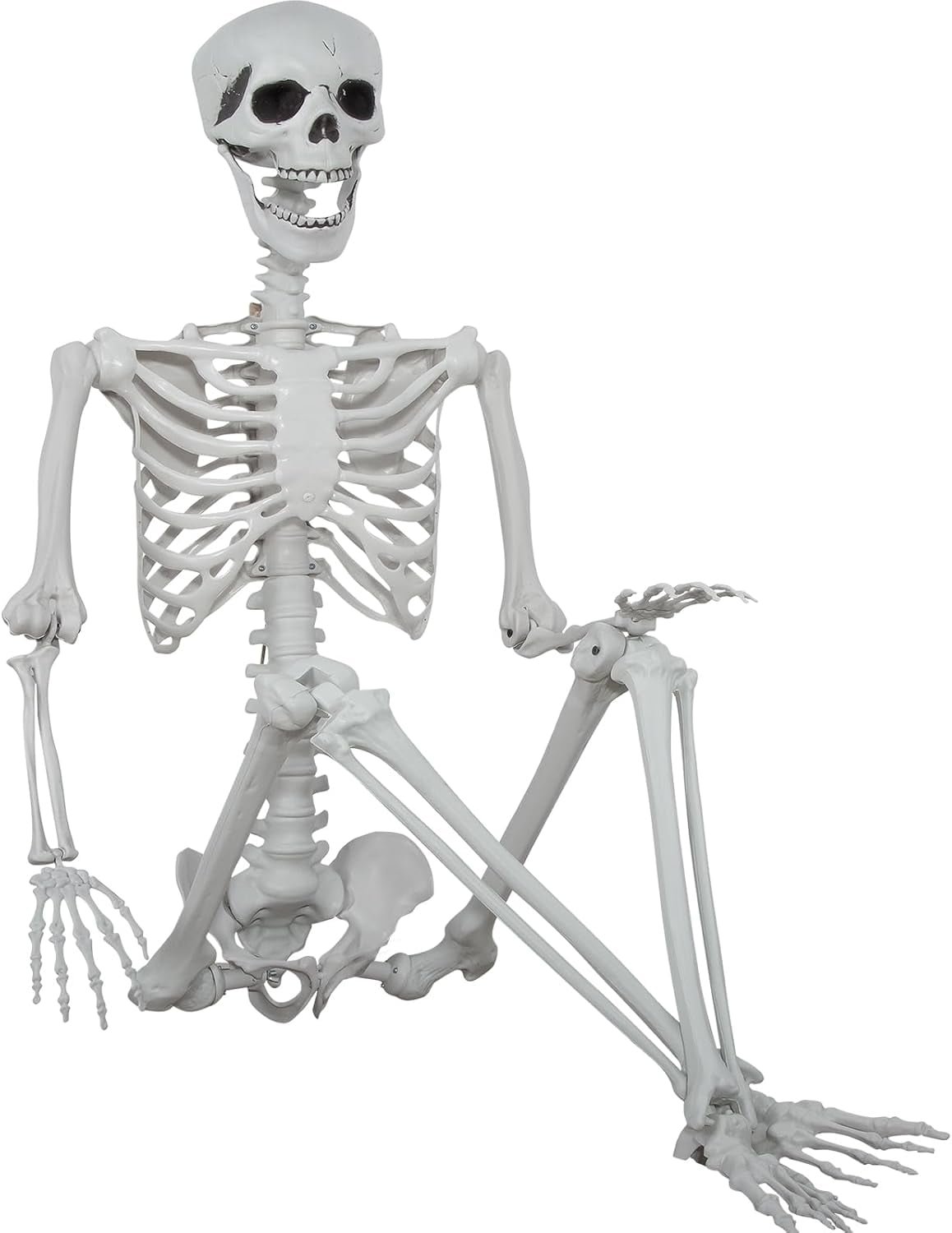 5.9ft Halloween Life Size Skeleton Realistic Full Body Skeletons ...