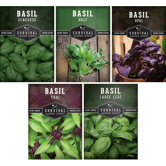 Basil Seeds in Seed Gardening - Walmart.com