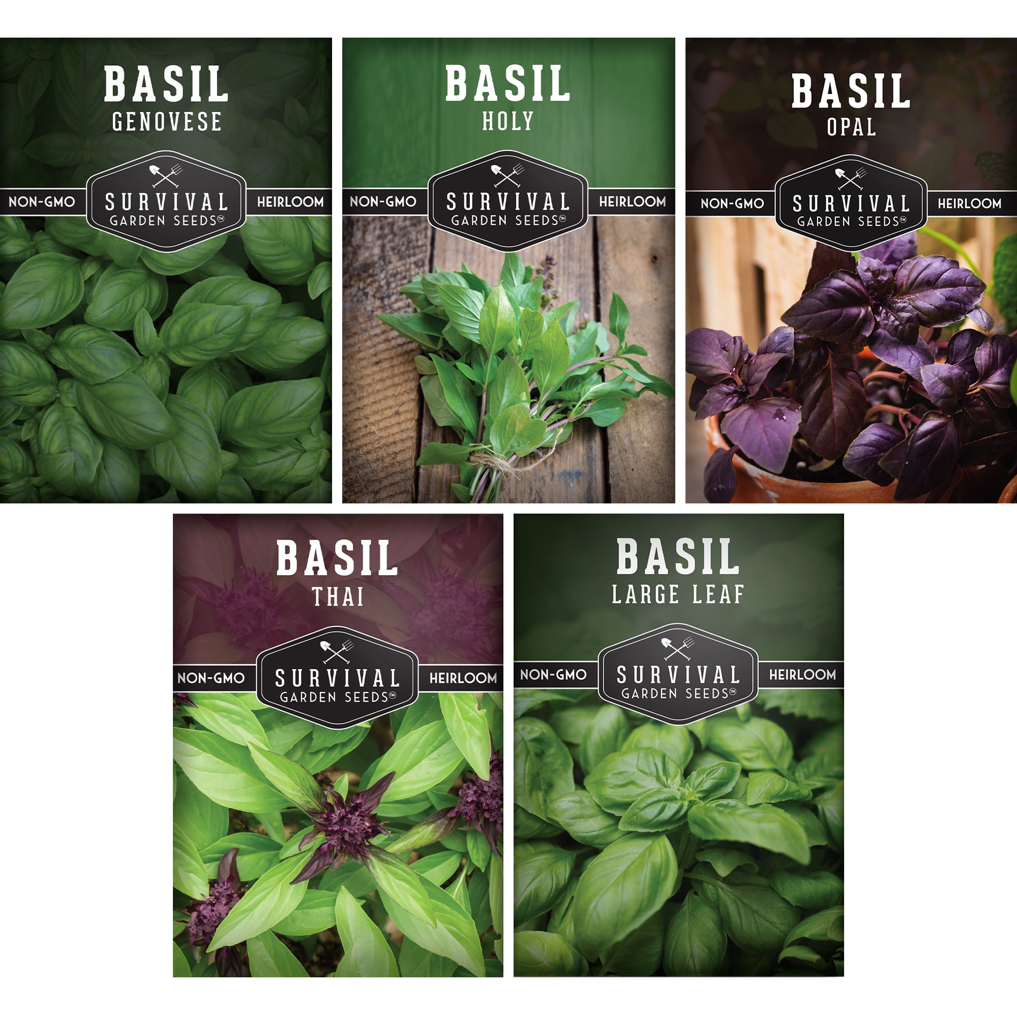 Basil Collection Seed Vault for Planting - 5 Full Sun Annual Herbs ...