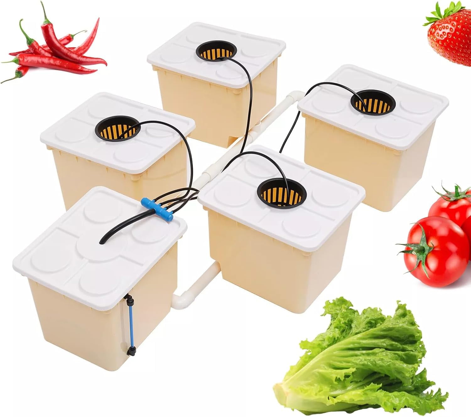 5-Buckets 2.91gal DWC Hydroponic System Kit, Weed Growing Kit Indoor ...