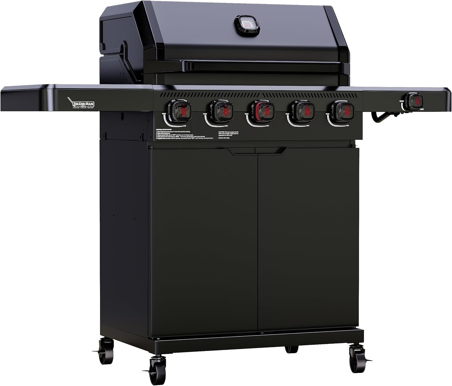 Pro 5-Burner Propane Gas Grill with Side Burner Stainless Steel, 14,000 ...