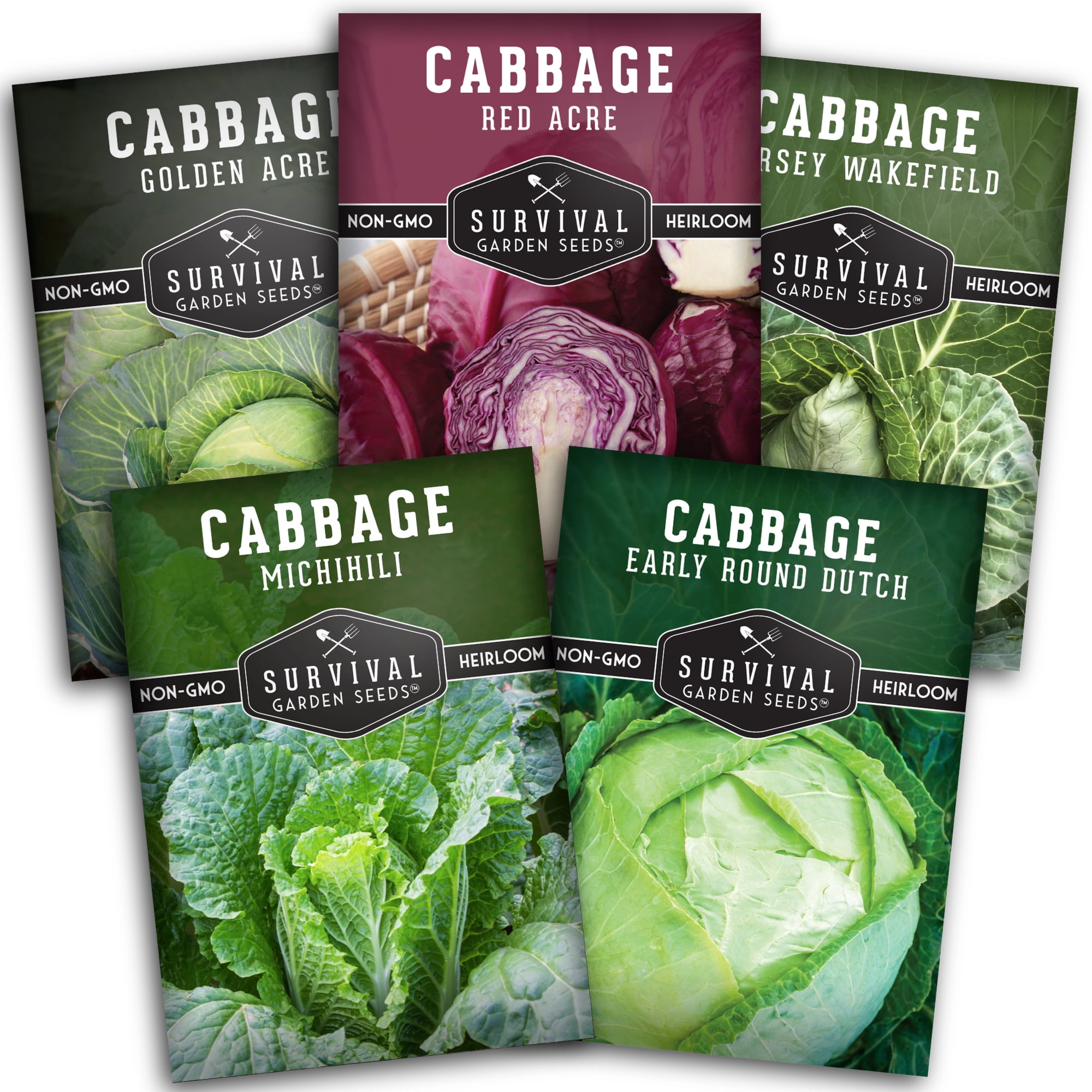 Cabbage Seeds 5 Variety Pack - Full Sun Biennial Vegetable Varieties ...
