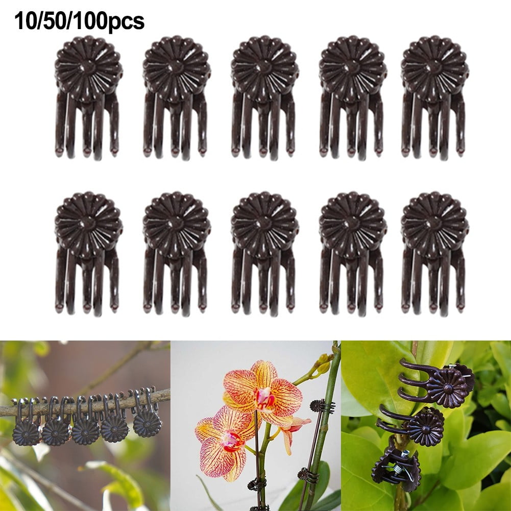5-Claw Brown Orchid Clip Garden Plant Clamp for Climbing Vine Stem ...