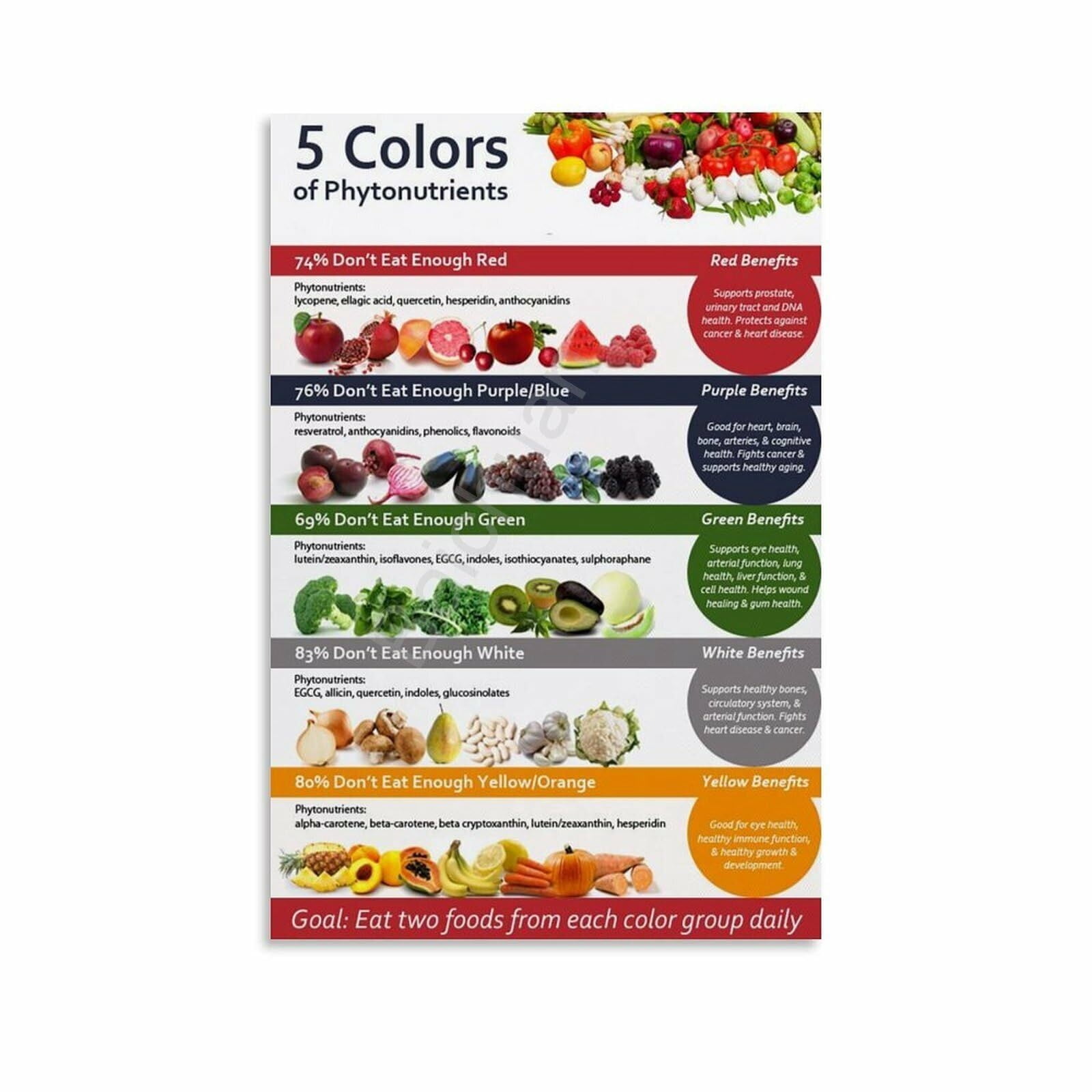 5 Colors of Phytonutrients Poster Healthy Eating Nutrition Chart (1 ...