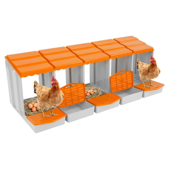 5 Compartments Chicken Nesting Boxes, Orange Chicken Laying Boxes with ...