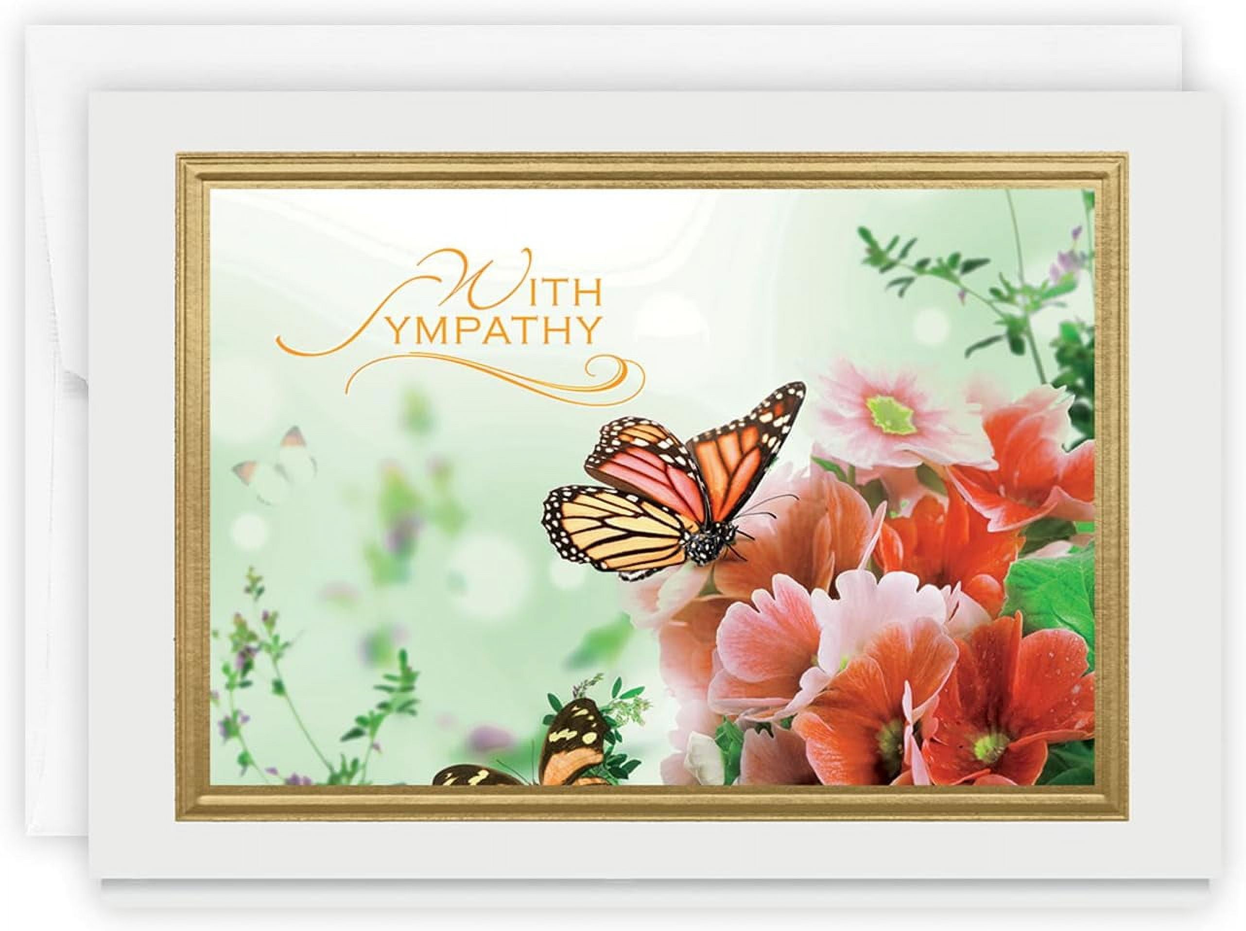 5 Count Card Pack, Sympathy Cards with Pearl Lined Envelopes (Butterfly ...