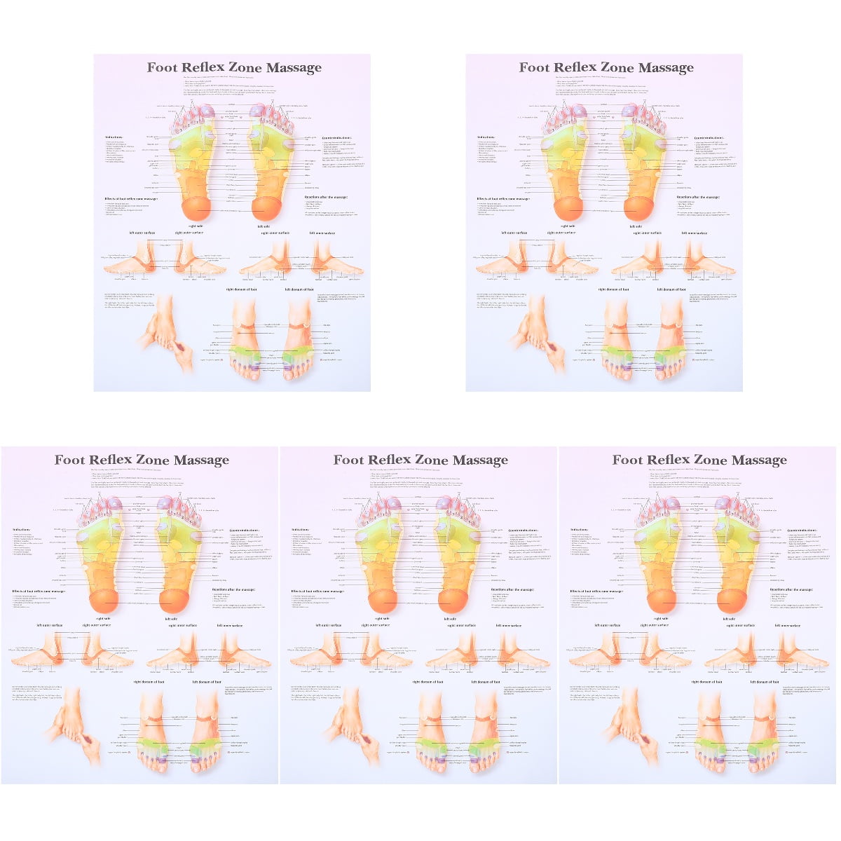 5 Count Posters of Feet Muscles Foot Reflexology Office - Walmart.com