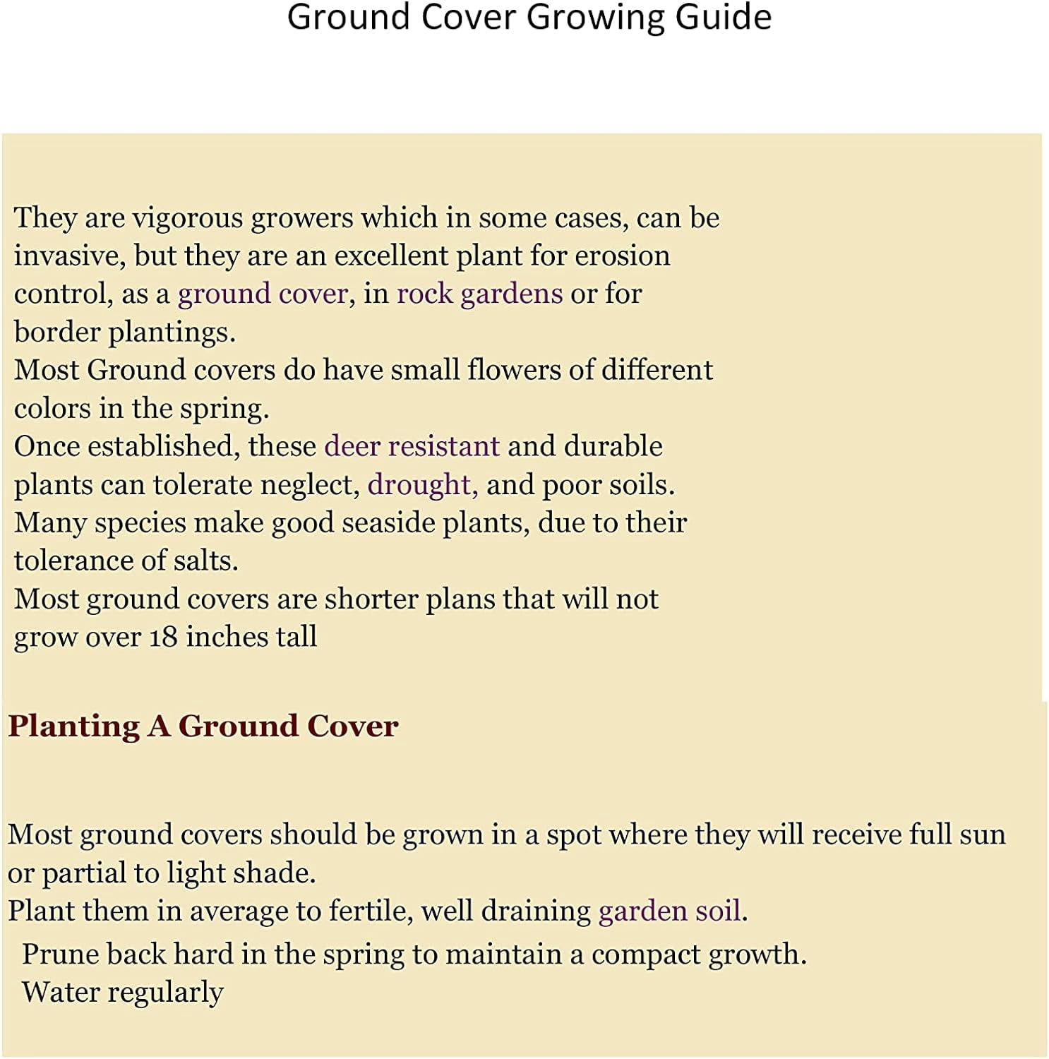 5 Creeping St Wort/Aaron's Beard/Hypericum Calyinum in 4 Inch Pots ...