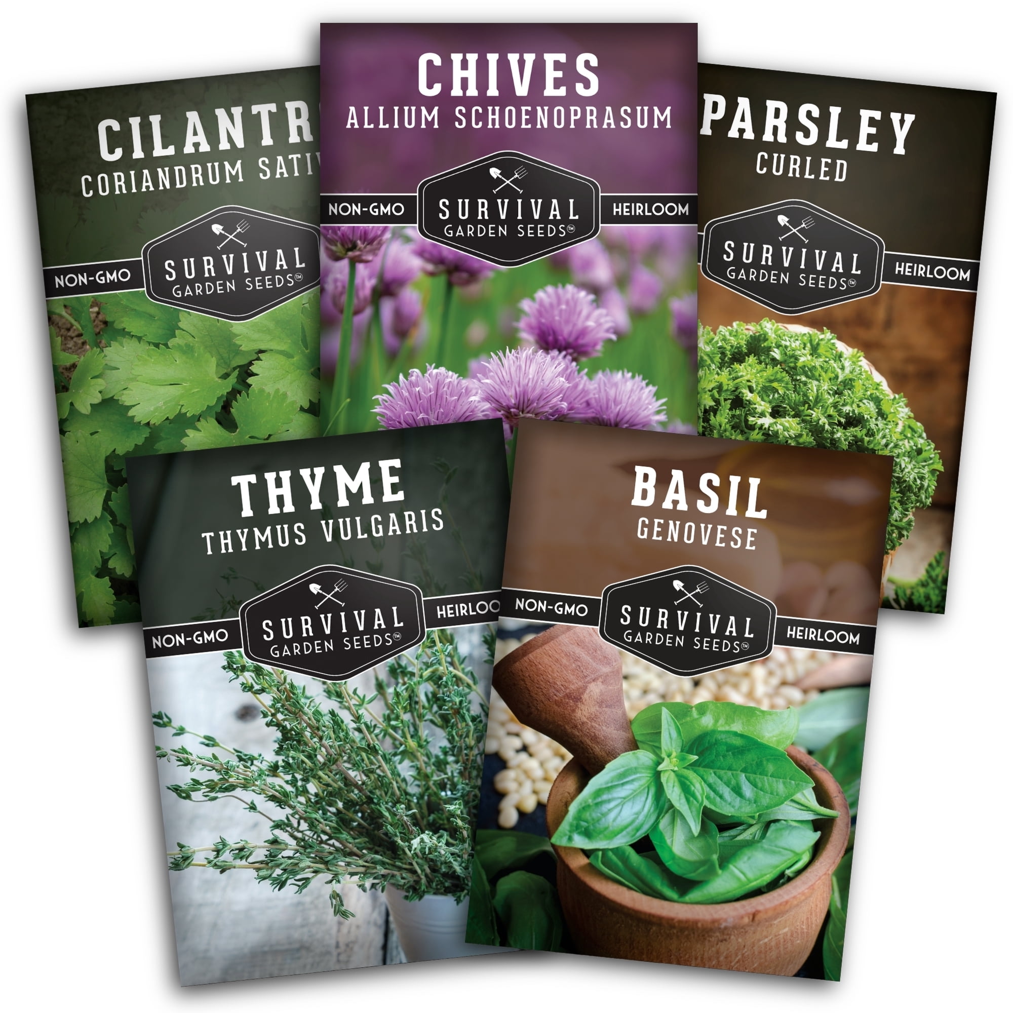 5 Pack Culinary Herbs- Basil, Cilantro, Chives, Thyme, Curly Parsley ...