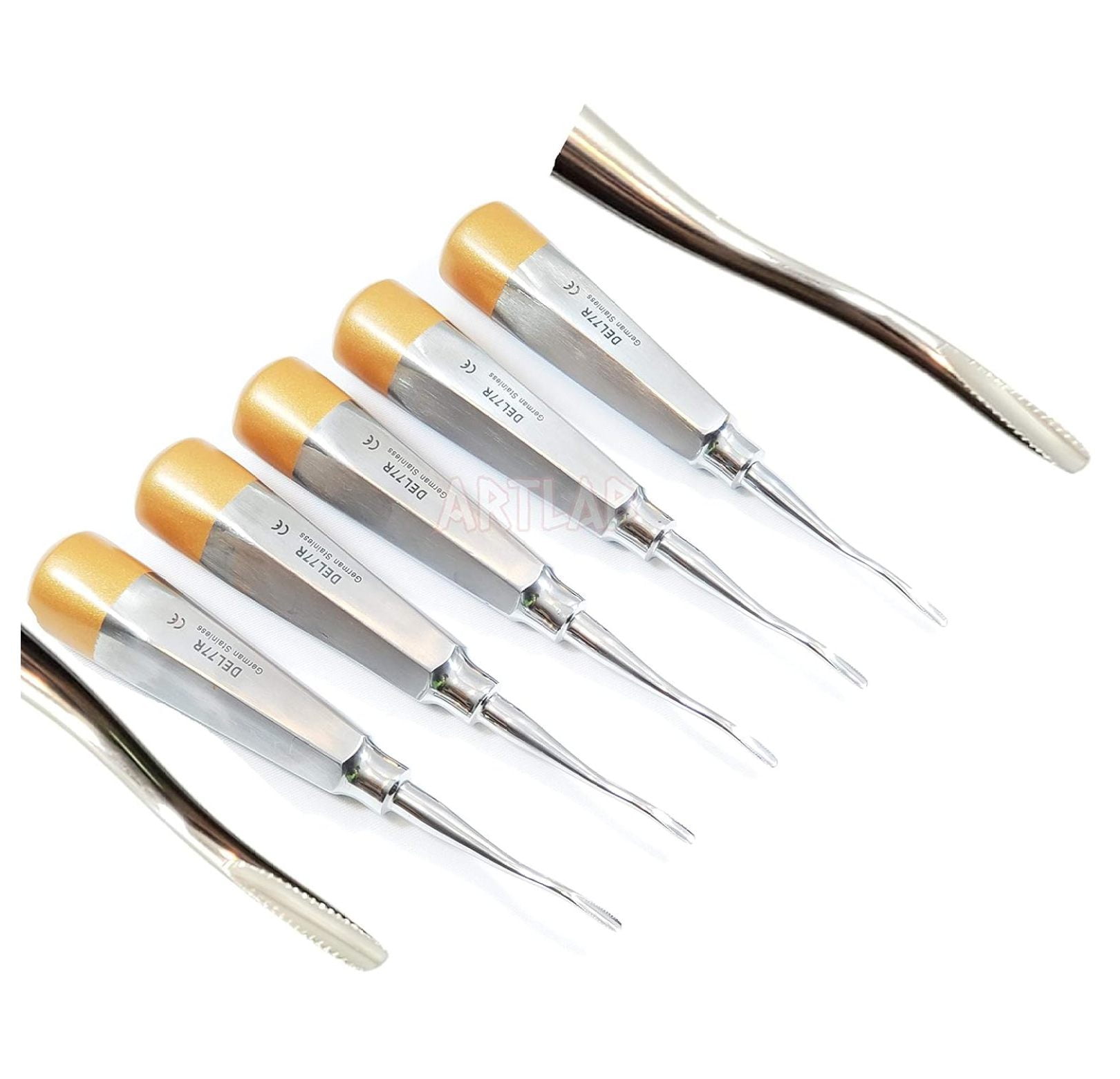 5 EA German Premium Root Dental Tooth Extracting Elevator # 77R-Dental ...