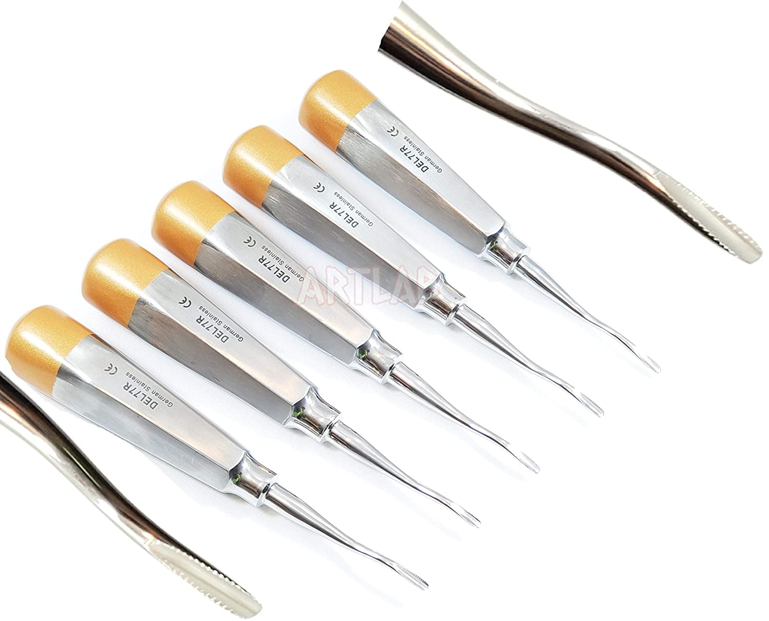 5 EA German Premium Root Dental Tooth Extracting Elevator # 77R-Dental ...