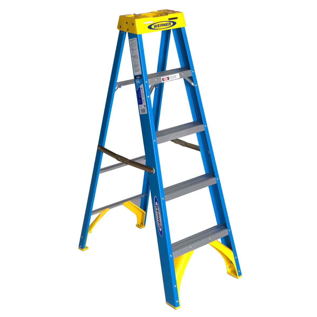 Werner 6 FT Ladders