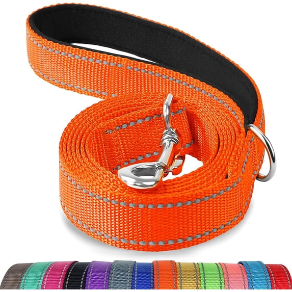 5 FT Double-Sided Reflective Padded Handle Nylon Heavy Duty Dog Leash ...