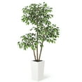 5 FT Ficus Tree Artificial with Tall White Planter, Fake Ficus Tree ...