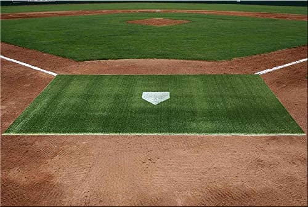 5' Feet x 10' Feet Synthetic Turf Baseball Softball Batting Cage ...