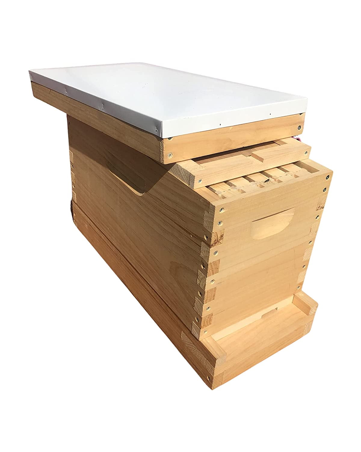 5 Frame Deep 9 5/8 Nuc Complete Bee Hive with Frames & Foundations (Un ...