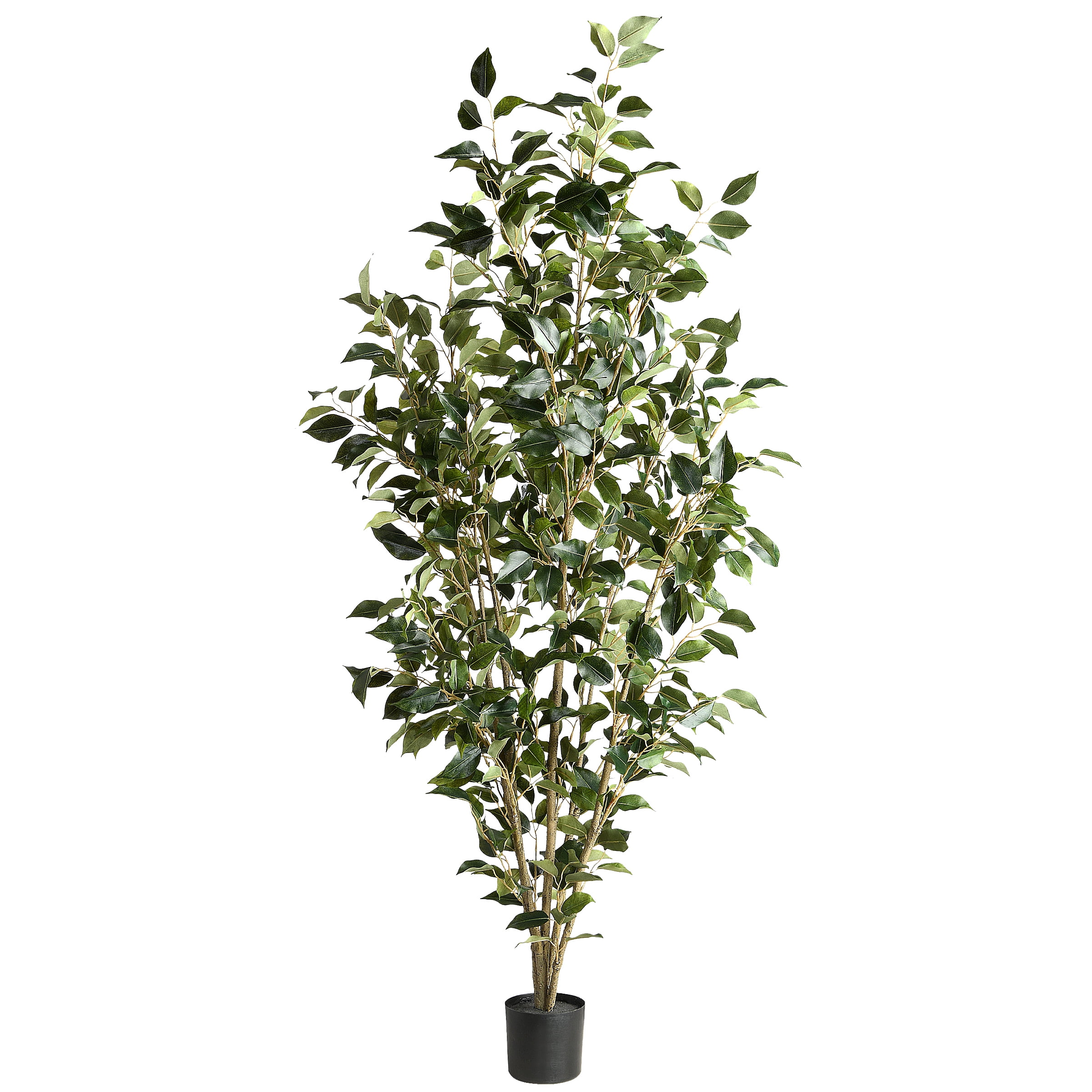 5 Ft. Potted Ficus Tree - Walmart.com