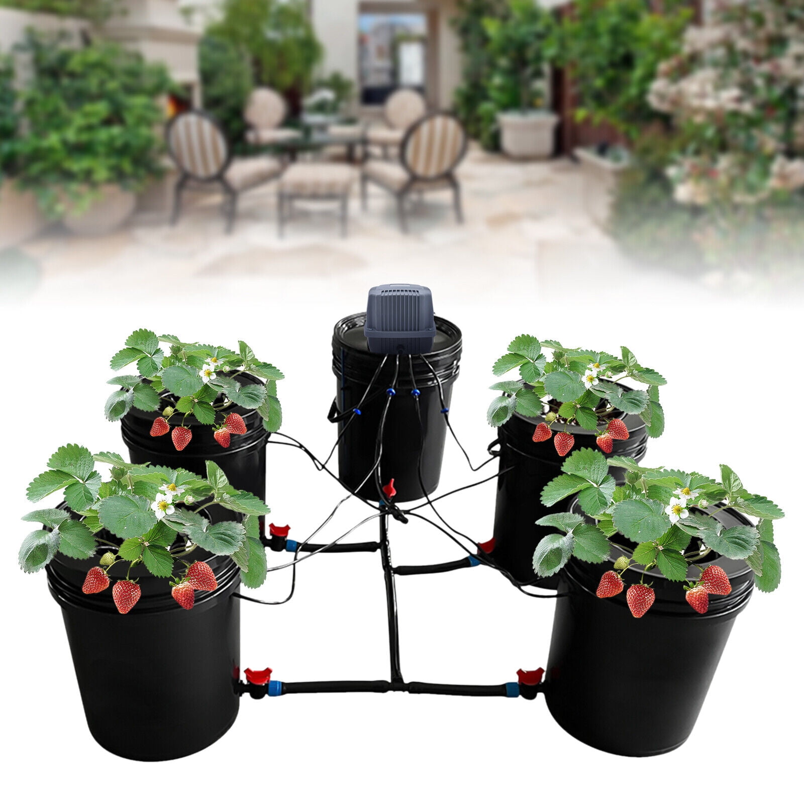 5 Gallon/20L PP Hydroponics Grow System with Circular Drip Irrigation ...