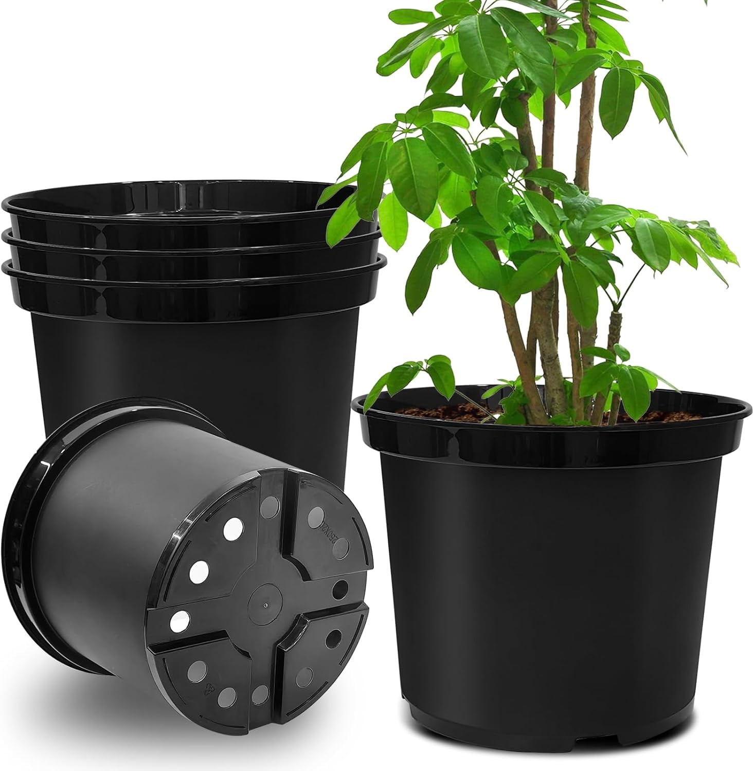 5 Gallon Plants Pots, 12 Inch Plastic Flower Pots with Drainage Holes ...