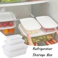 Fridge Locker Box - Portable Refrigerator Food, Snacks, Beverage ...