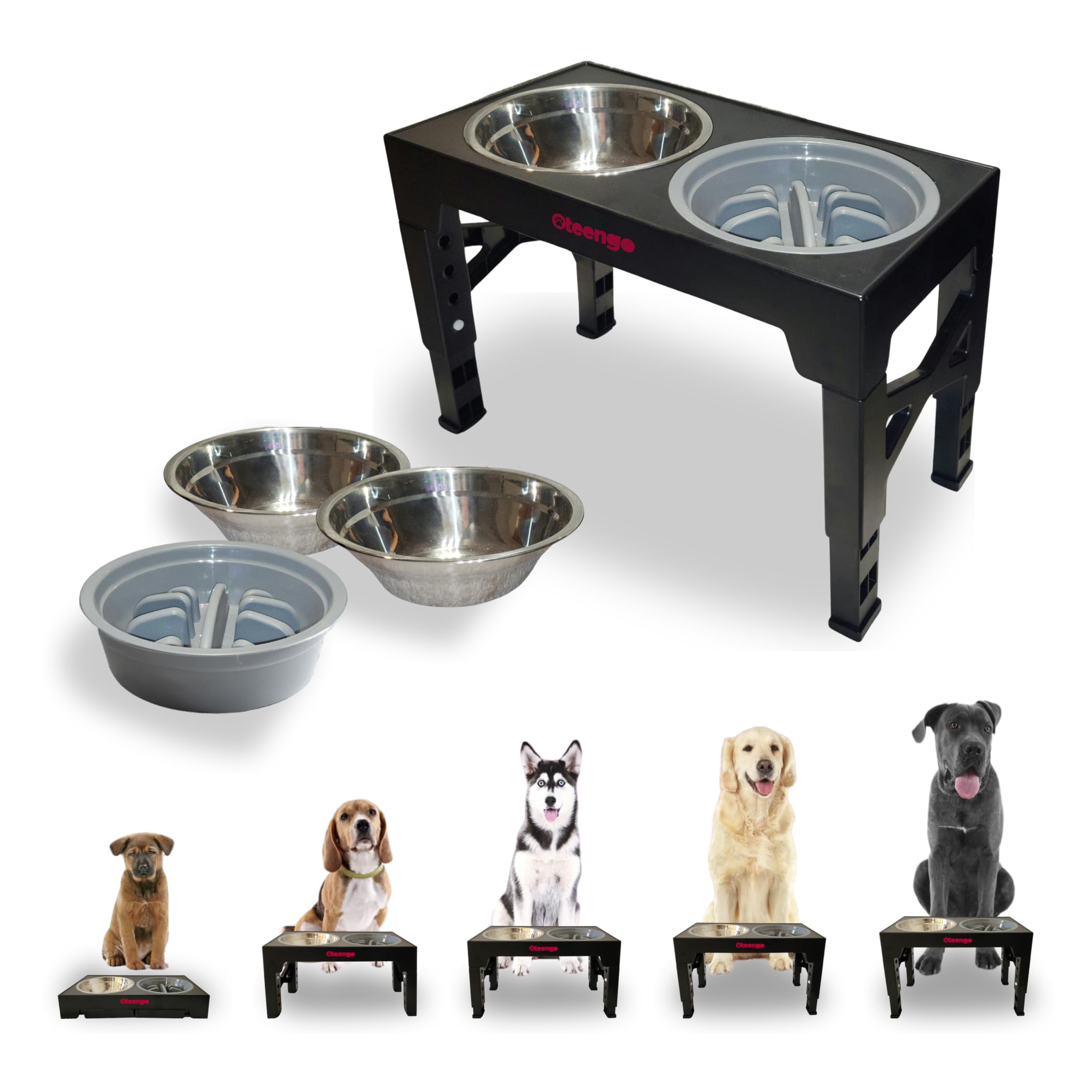 5 Heights Elevated Dog IRF13 Bowls, Feeding Station 2 Stainless Steel ...