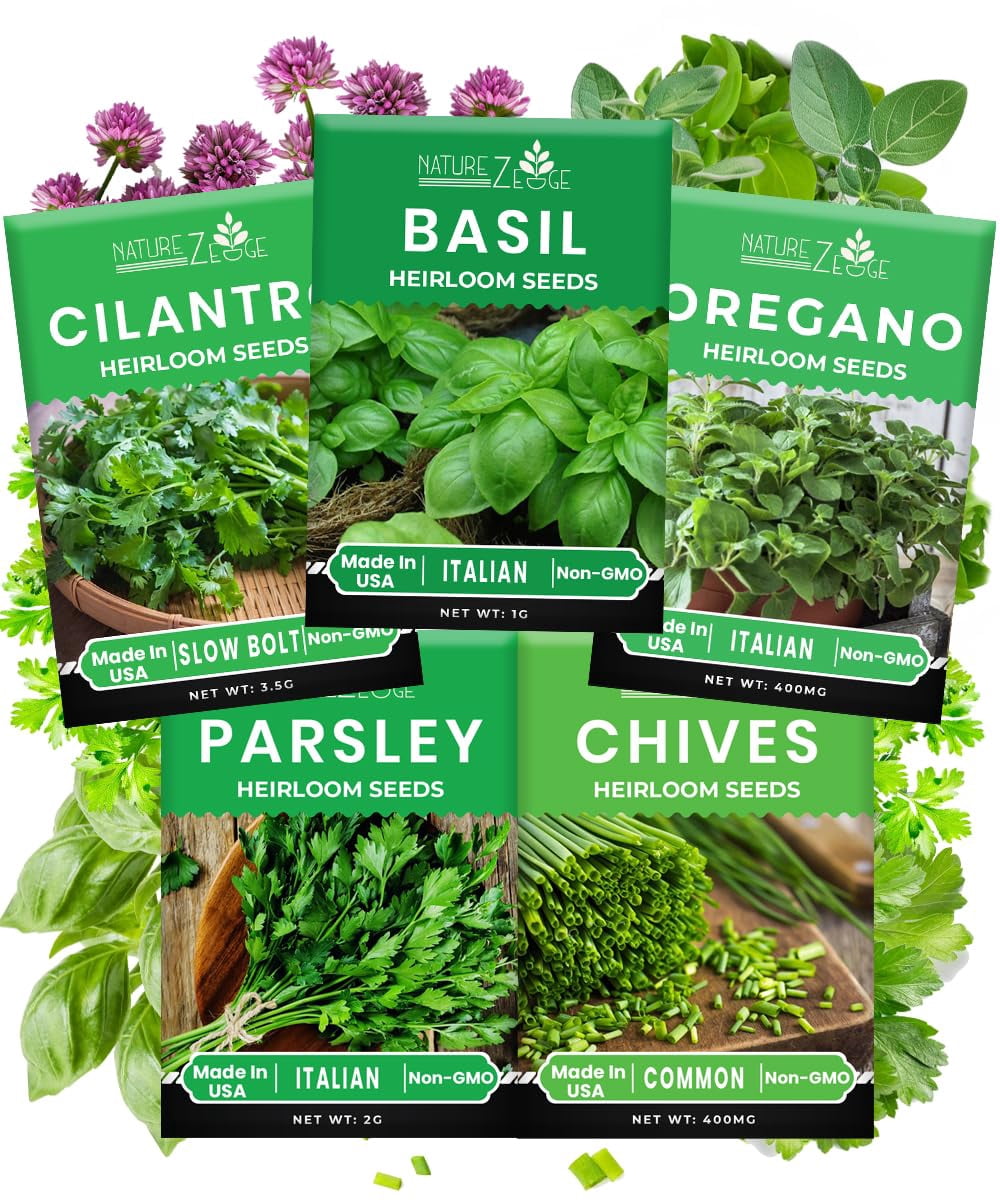5 Herb Seeds Variety Kit, Oregano, MVR1 Cilantro, Parsley, Basil ...