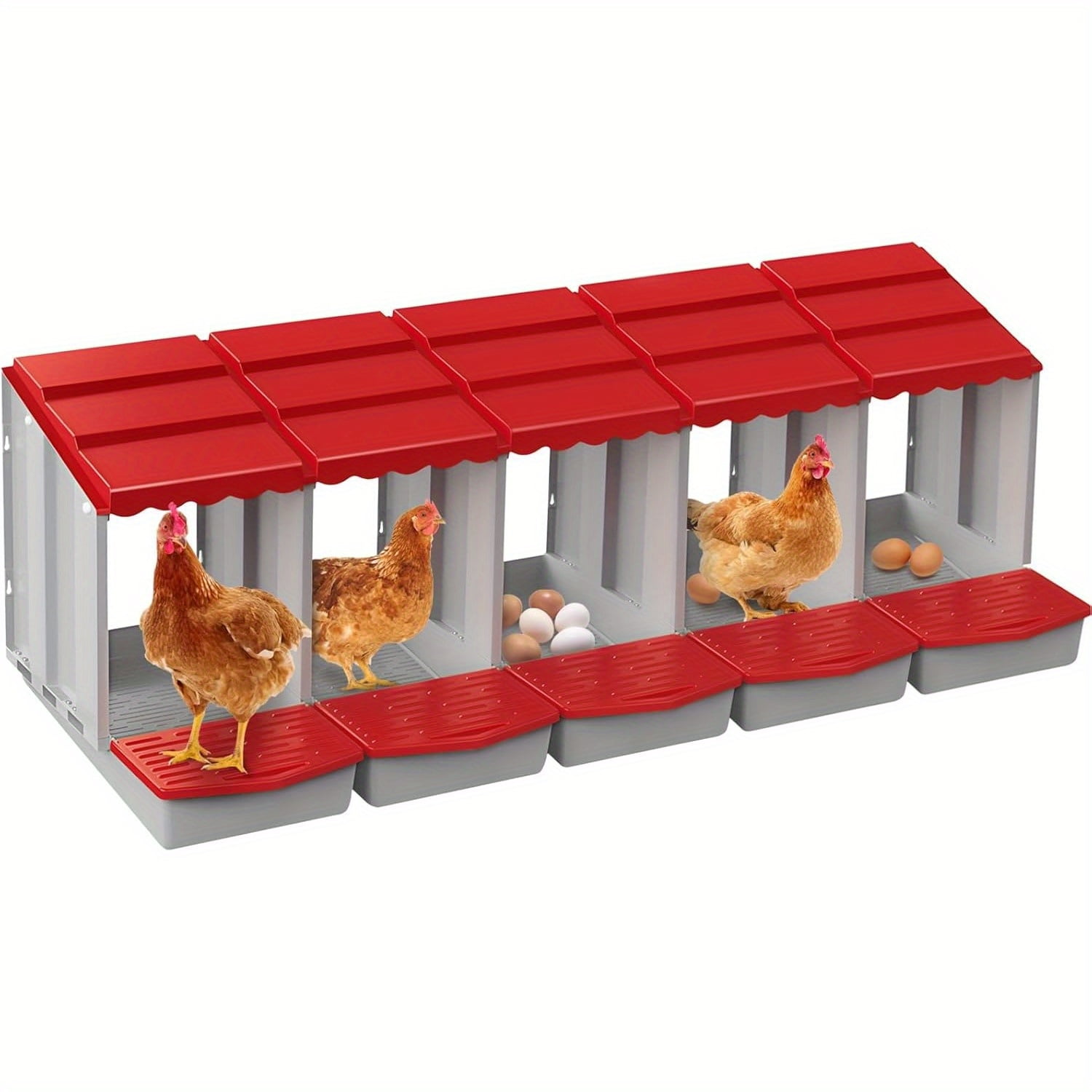 5 Hole Chicken Nesting Boxes with Rolling Egg Collection - Anti-Break ...