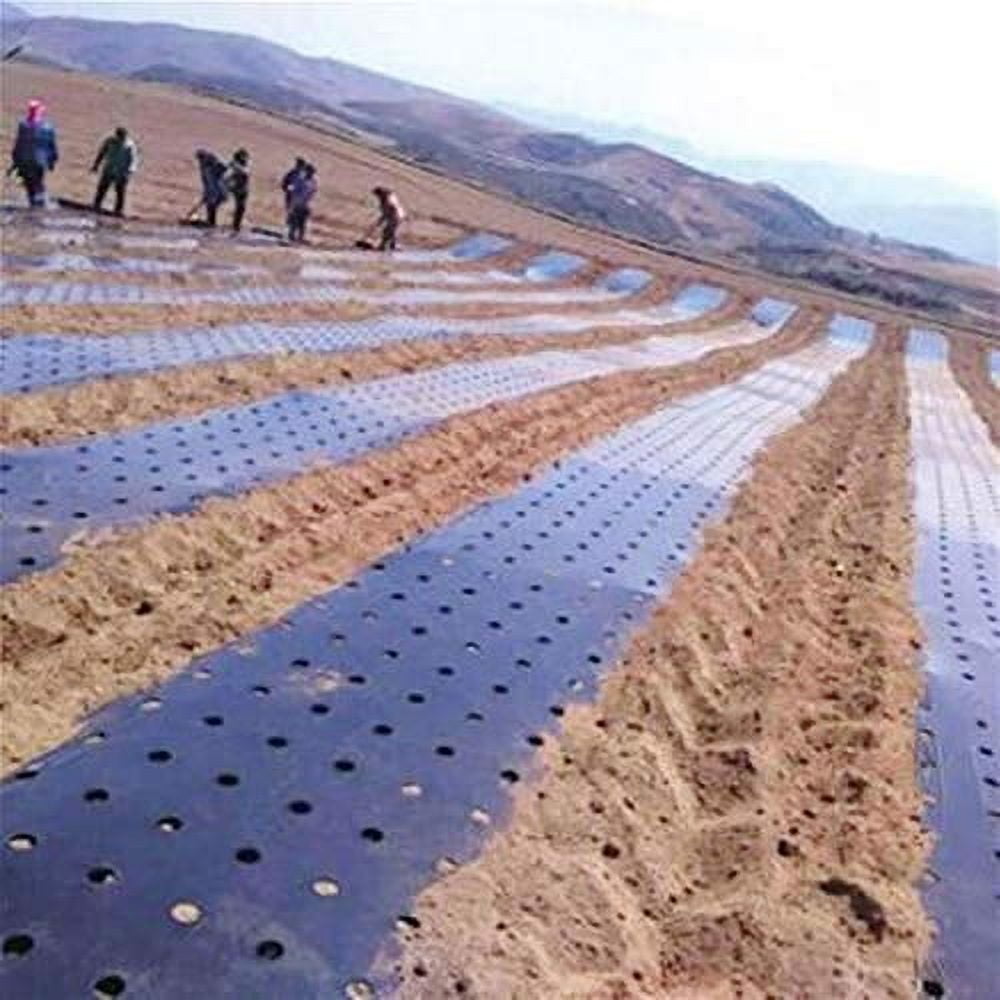 5 Holes Black Plastic Mulch Film Hole Space 15cm, Hi-Quality Vegetable ...