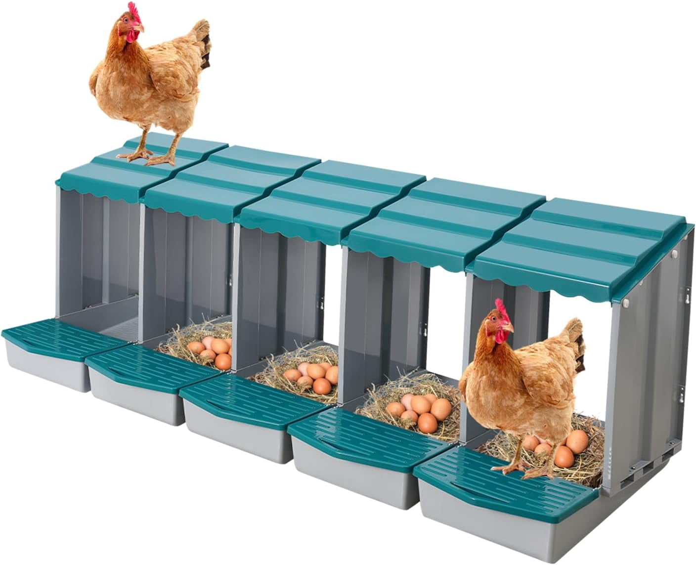 5 Holes Chicken Nesting Box, Roll Out Chicken Coop Nest Boxes for Hens ...