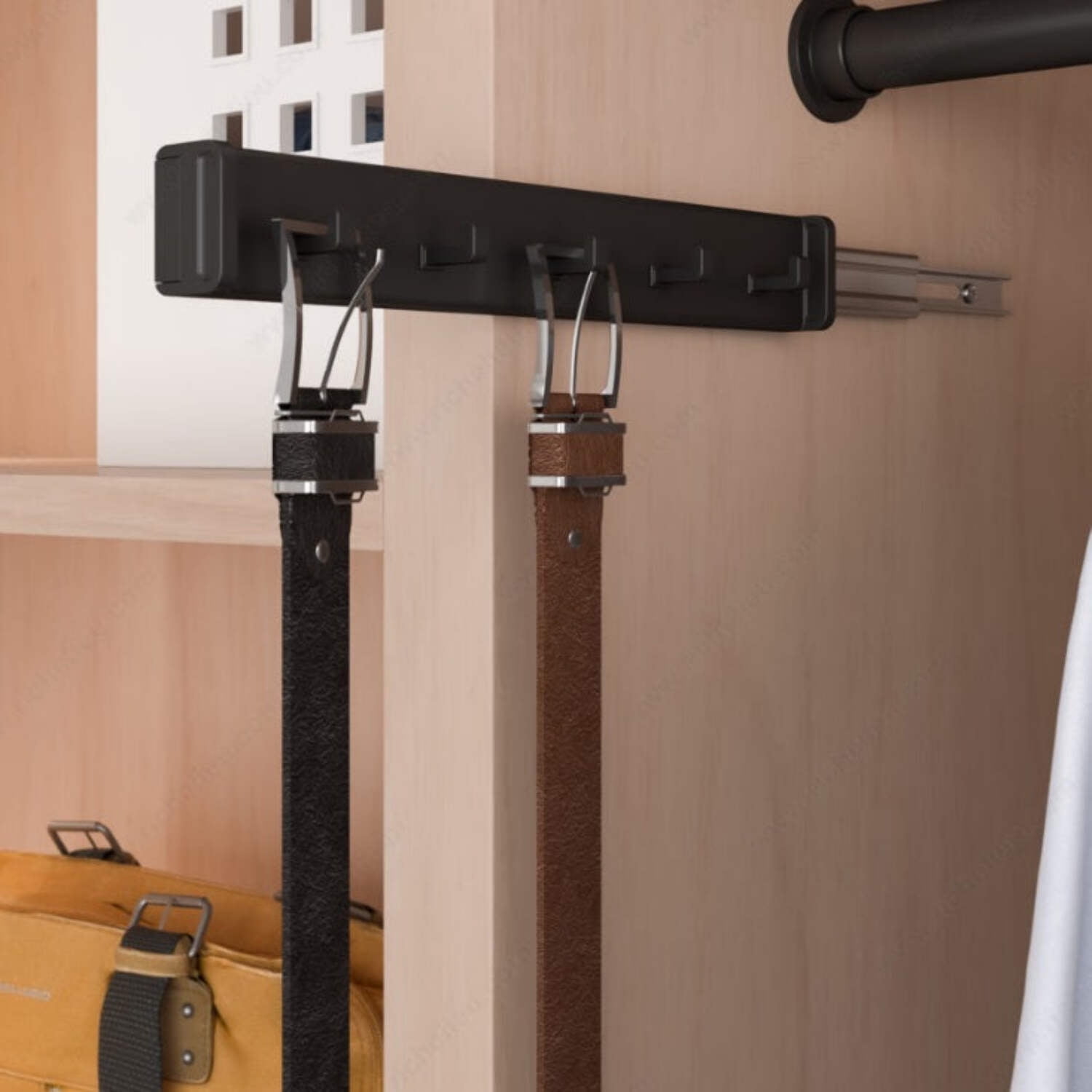 5-Hooks Designer Wardrobe Reversible Closet Belt Rack with Pullout ...