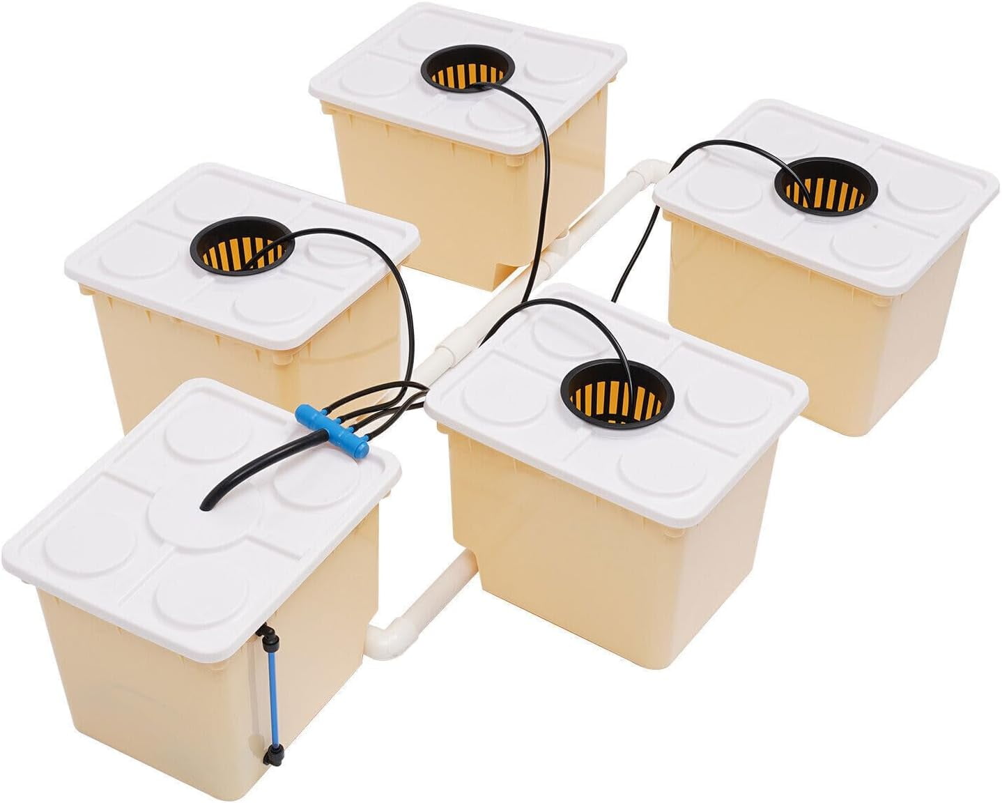 5 Hydroponic Buckets Kit for , Hydroponics Growing System for Herbs ...