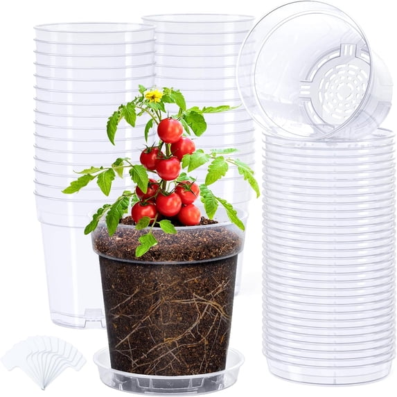 5 Inch Clear Nursery Pots 30 Pack with Drainage and Plant Saucers ...