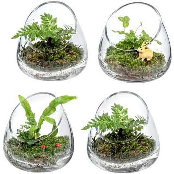 5 Inch Premium Clear Glass Air Plant Terrarium Tealight Candle Holder ...