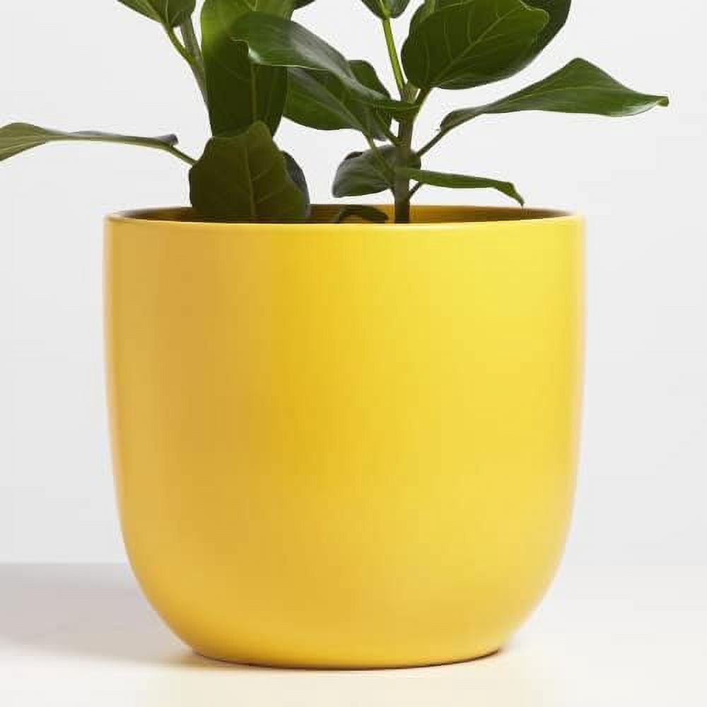 5 Inch (Set Of Two) Yellow Ceramic Planter. Contour Plant For House ...