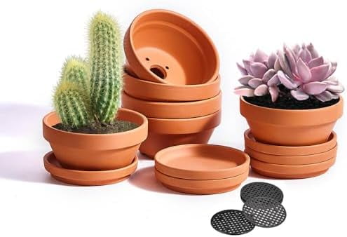 5 Inch Shallow Terracotta Pot for Succulent - 6 Pcs Small Shallow Plant ...